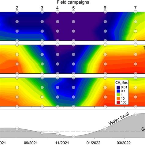 Contour plots showing average tree stem CH4 flux rates mmol m² d¹