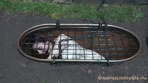 Maggie Mead Is In The Cage Hole Filled With Mud Till Top Video
