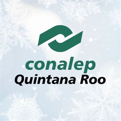 Conalep Chetumal Como Parte Del Intercambio Gastronómico México Brasil Organizado Por Este