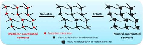 金属离子配位聚合物水凝胶中的原位矿化：进展、挑战和机遇 Chemistry Of Materials X Mol