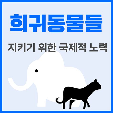 멸종위기종을 지키기 위한 국제적 노력 모아모아모아
