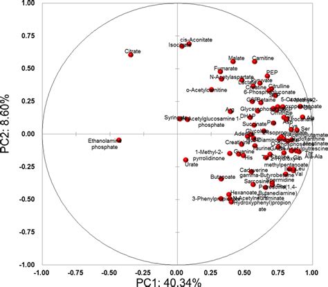 loading plots of principal component analysis pca download
