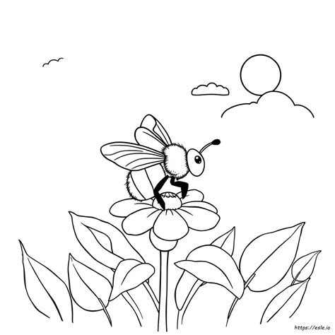 Colouring Picture Of Bee