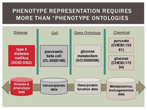 The Application Of The Human Phenotype Ontology