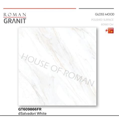 Jual Roman Granit X DSalvadori White Granit Kilap Motif Marble Granit Lantai Motif