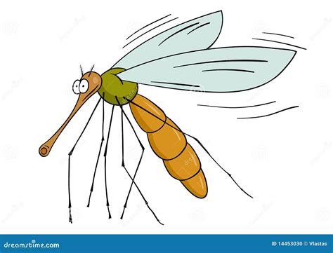 Gnat Cartoons Illustrations And Vector Stock Images 6109 Pictures To