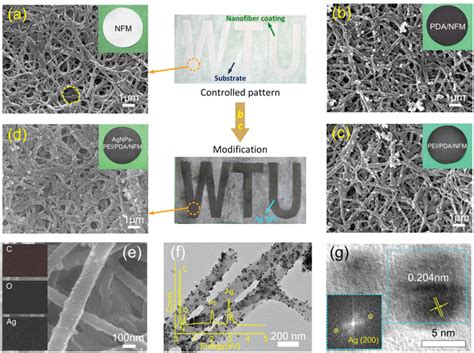 Morphology And Structure Of Nanofibrous Membranes Sem Of A Nfm B