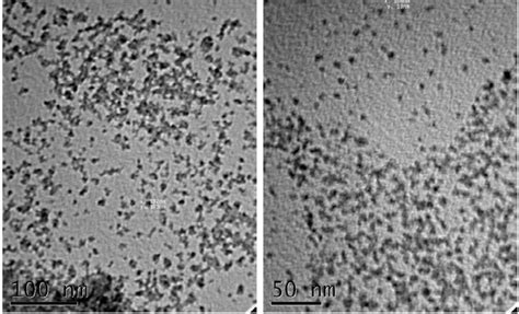 Shows An Investigation Of The Synechocystis Sp Pcc 6803 Growth Curve