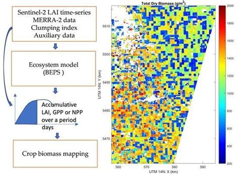 remote sensing mdpi di linkedin crop biomass mapping based on