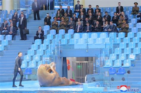 N Korean Leader Ends Russia Trip With ‘heartfelt Thanks To Putin