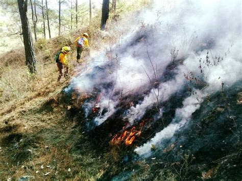 Incendios Queman Más De 47000 Hectáreas De Bosque En Guatemala