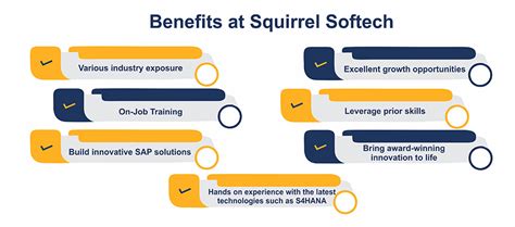 Experienced Sap Professionals Squirrel Softech Services Pvt Ltd