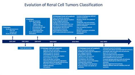 Flow Diagram Showing The Evolution Of The Classification Of Renal Cell Download Scientific