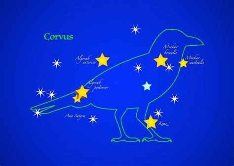 Constellation Corvus Poster By Elisabeth Rosemay Edon Displate