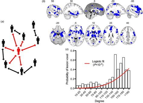 Meta Connectomics Human Brain Network And Connectivity Meta Analyses