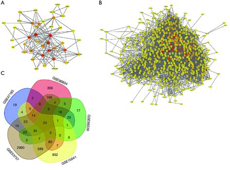 Protein Protein Interaction Ppi Network Analysis A Ppi Network Of