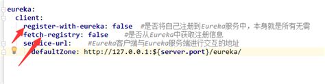 SpringCloud服务注册启动的时候报错com sun jersey api client ClientHandlerException