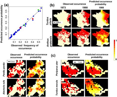 Ndm Prediction Of Species Occurrence And Spatial Distribution At Three
