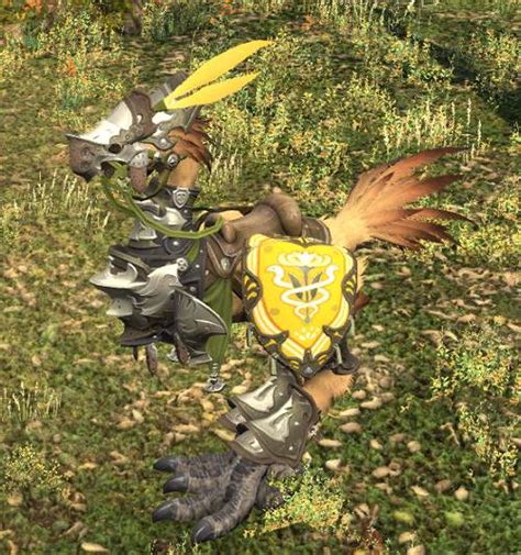 Ffxiv Chocobo Barding Guide Updated Patch 6 2