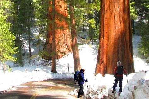 The Ultimate Yosemite National Park Full Experience 5 Days Vacation