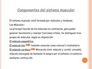 Sistema Muscular Ppt
