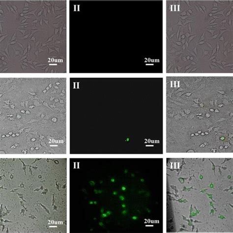 Xrd Patterns Of Cdte Cdsete And Cdsete Cds Qds Download Scientific Diagram