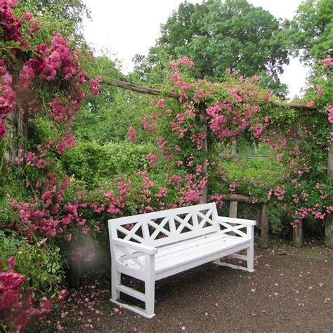 Sofiero Helsingborg Stauderiket Blogg