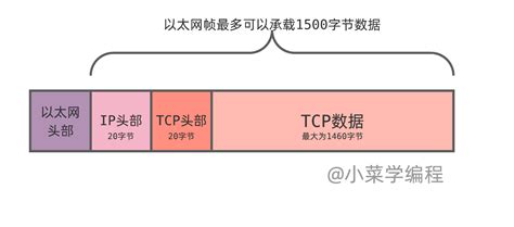 三次握手，tcp连接的建立 小菜学网络