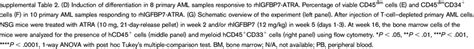 A Cd11b Membrane Expression On Cd33 1 Blasts Relative To The