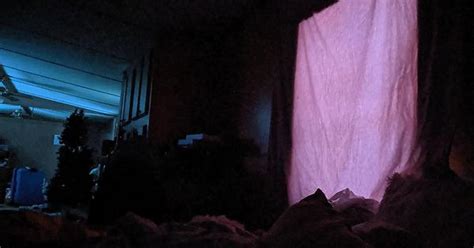 A Day In The Life Working With Developmentally Disabled Adults In