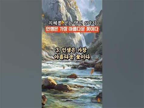 지혜를 얻는 명언 6가지 인생은 아름다운 꽃이다 인간 관계 소크라테스 명언