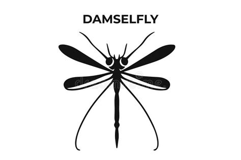 A Distinctive Damselfly Silhouette For Multi Format Design Projects