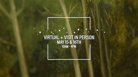 Ron Primm Painting Youtube