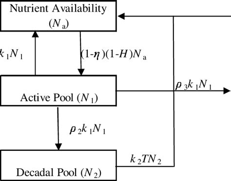 Schematic Of The Nutrient Cycle Download Scientific Diagram