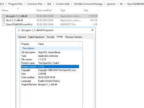 Vulnerabilities Openssl 110 Qlik Community 2480937