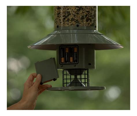 10 Timed Bird Feeders That Will Keep Your Feathered Friends Happy All