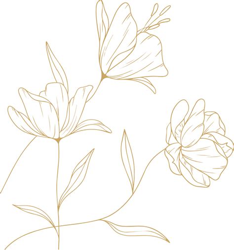 Как ухаживать за цветами, памятка-инструкция MOON FLOWERS