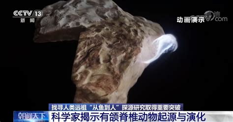 “从鱼到人”的探源研究领域取得重要突破 新财网