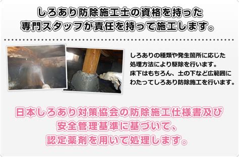 しろあり駆除 有限会社アイエスエム