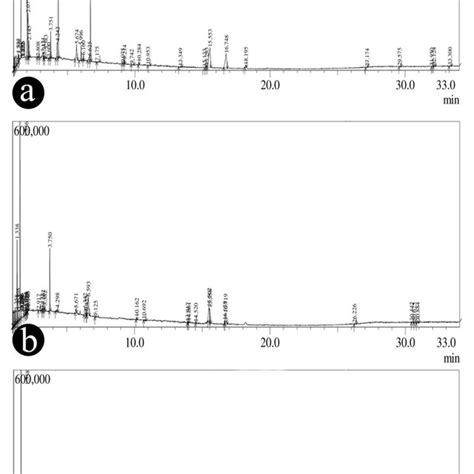 Gc Ms Chromatographs Of Methanol Extracts Of S Alternifolium A Stem Download Scientific