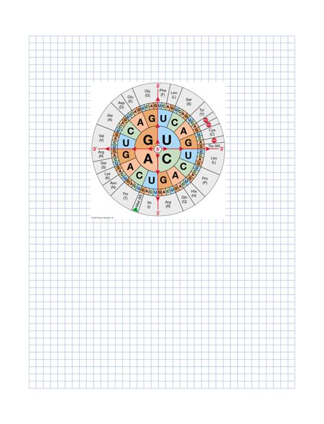 Genetic Code Wheel Work Chem 108 Studocu