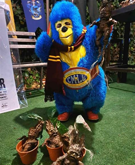 Kemonito Anunció Su Retiro De La Lucha Libre Hay Que Saber En Qué