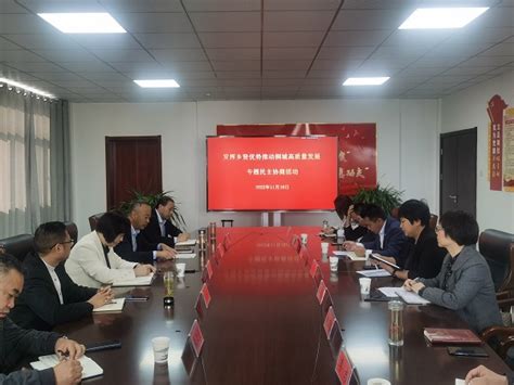 市政协开展发挥乡贤优势推动桐城高质量发展专题民主协商活动 政协要闻 桐城政协网