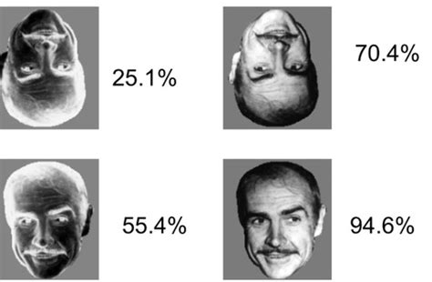 Lecture 4 Face Perception Flashcards Quizlet