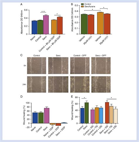 Sevoflurane Promoted Cell Viability Chemoresistance And Migration Of
