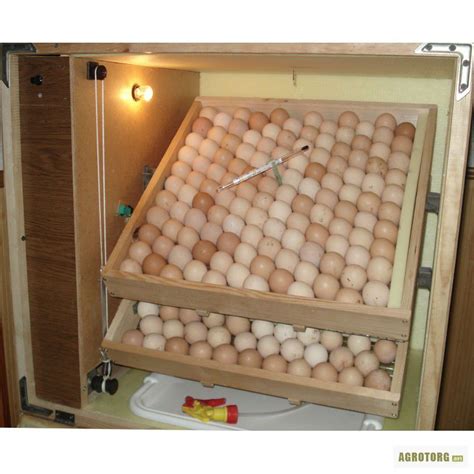 Премиксы для различной птицы в период яйцекладки