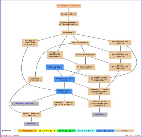 Search Result In Go Gene Ontology View Tree Image Format Download