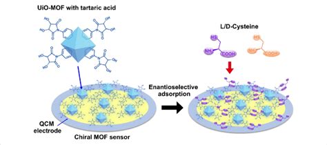 The Uio Mof Derived Qcm Sensor For Efficient Discrimination Of Cysteine Download Scientific