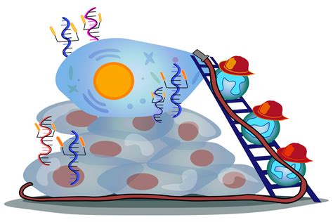 Its An Rna World Again Yale Scientific Magazine