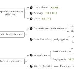 Classification Of The Mechanisms Of Acupuncture In Treating Download Scientific Diagram